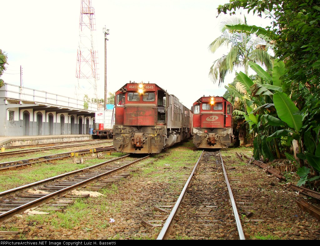 GT22 4645 / GT22 4620